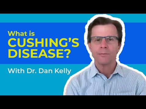 What is Cushing's Disease? With Dr. Dan Kelly | A PNI Minute