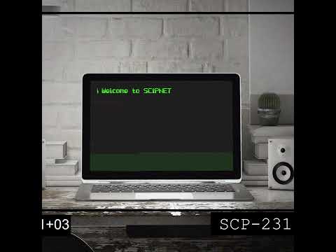 SCP-2317: "A Door to Another World"