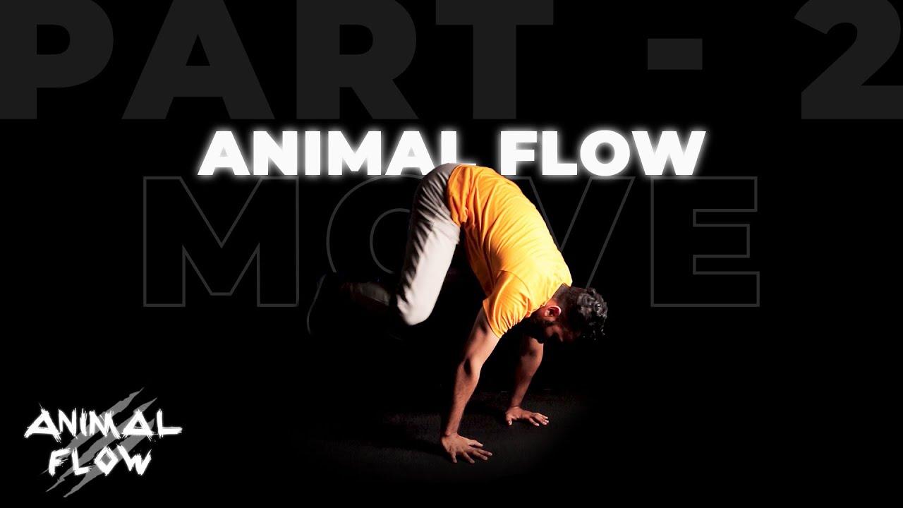 Animal Flow | Switches & Transitions | PART-2 | Flow Fitness