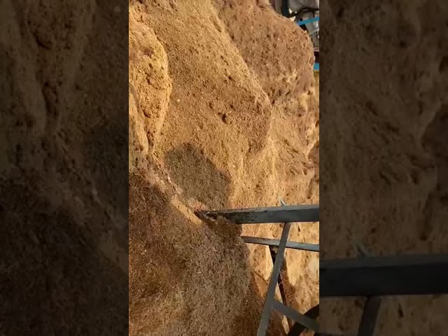 Coconut Coir Dust - Coco Peat Products Wholesaler / Distributor from Pune