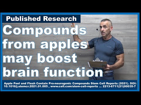 Compounds from apples may boost brain function