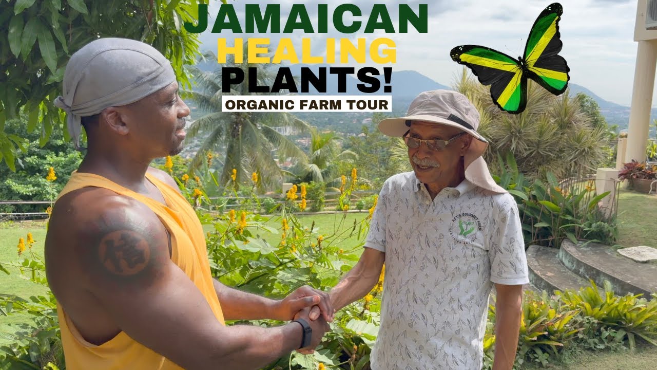 Discovering Jamaica's Hidden Gems: Powerful Plants and Exotic Fruits ...