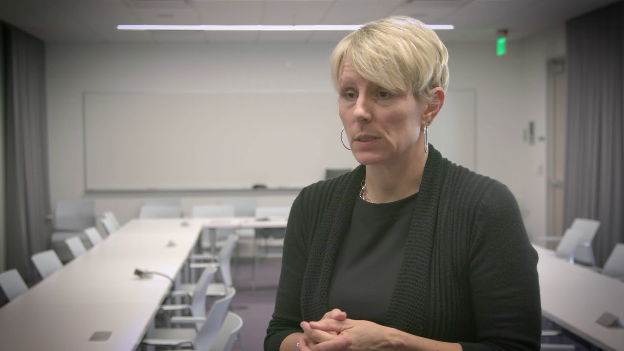 Informing Model Articulation by Eliciting the Family Experience