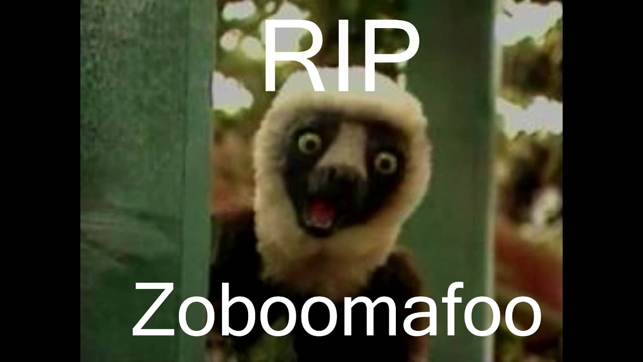 RIP Zoboomafoo