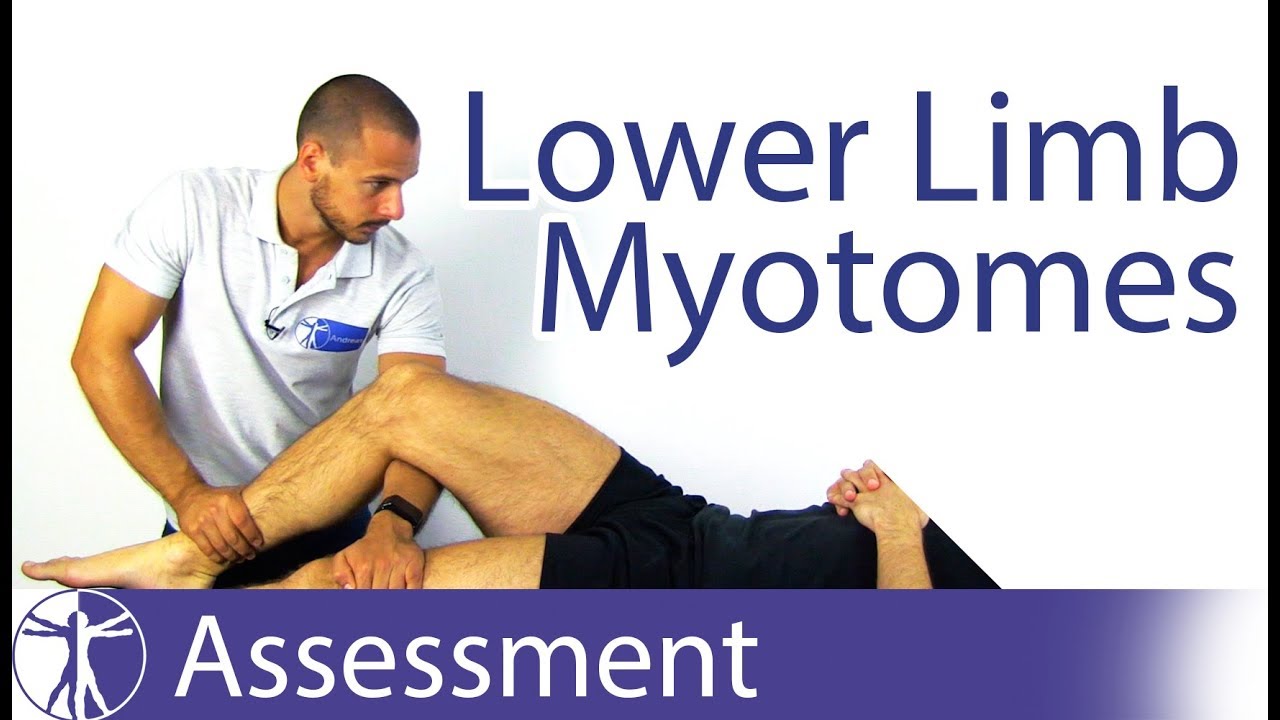 Myotomes Lower Limb | Peripheral Neurological Examination
