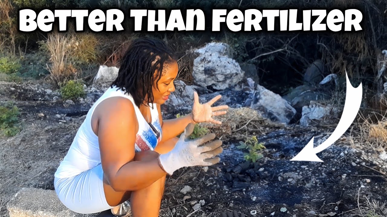 Better than Fertilizer! Fix Your Soil Forever With One Ingredient! Rich Fertile Soil!