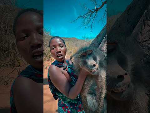 The baboon ran home and fell “asleep”#life#women#animals #funny #wildlife