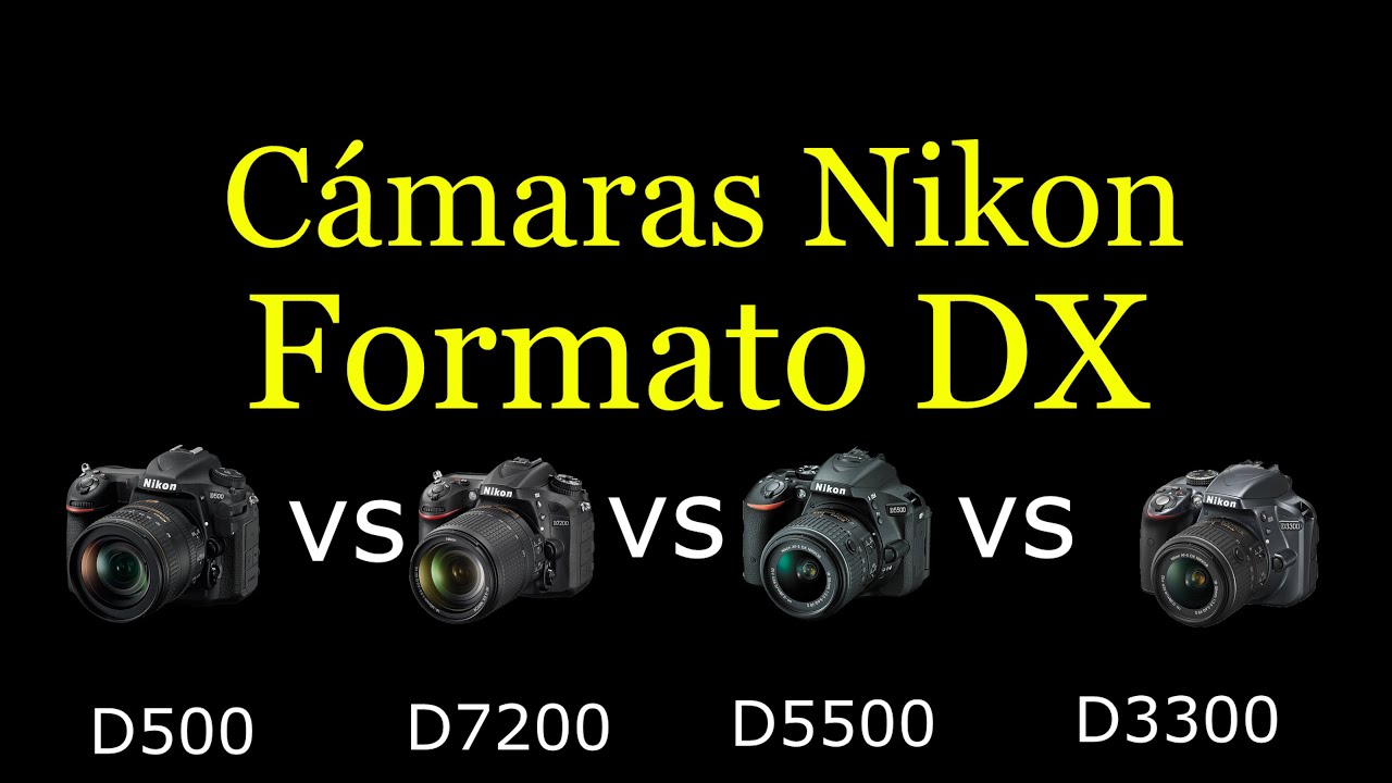 Nikon D500 vs Nikon D7200 vs Nikon D5500 vs Nikon D3300 en Español | VS Digital