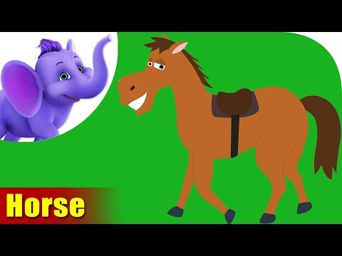 Horse Rhymes, Horse Animal Rhymes Videos for Children