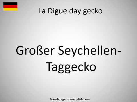 How to say La Digue day gecko in German? Großer Seychellen-Taggecko