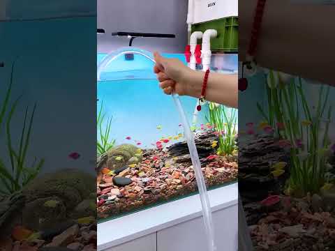 Fish tank cleaning siphon copper joint #trending #fishbowl #aquascape #aquaria #fish #fishaquarium