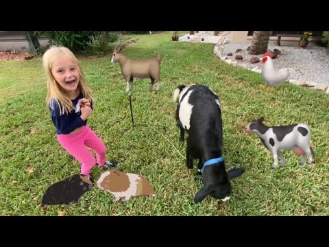 Mobile Petting Zoo | Farm Comes To You