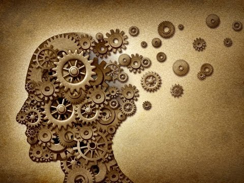 AP Psychology Review: Biological Basis & Behavior