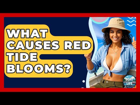 What Causes Red Tide Blooms? - Boat Life Masters