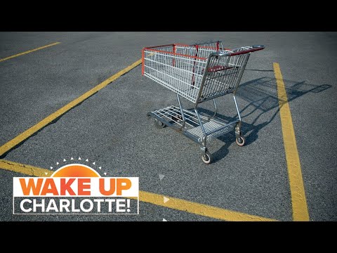 The 5 kinds of shopping cart returners