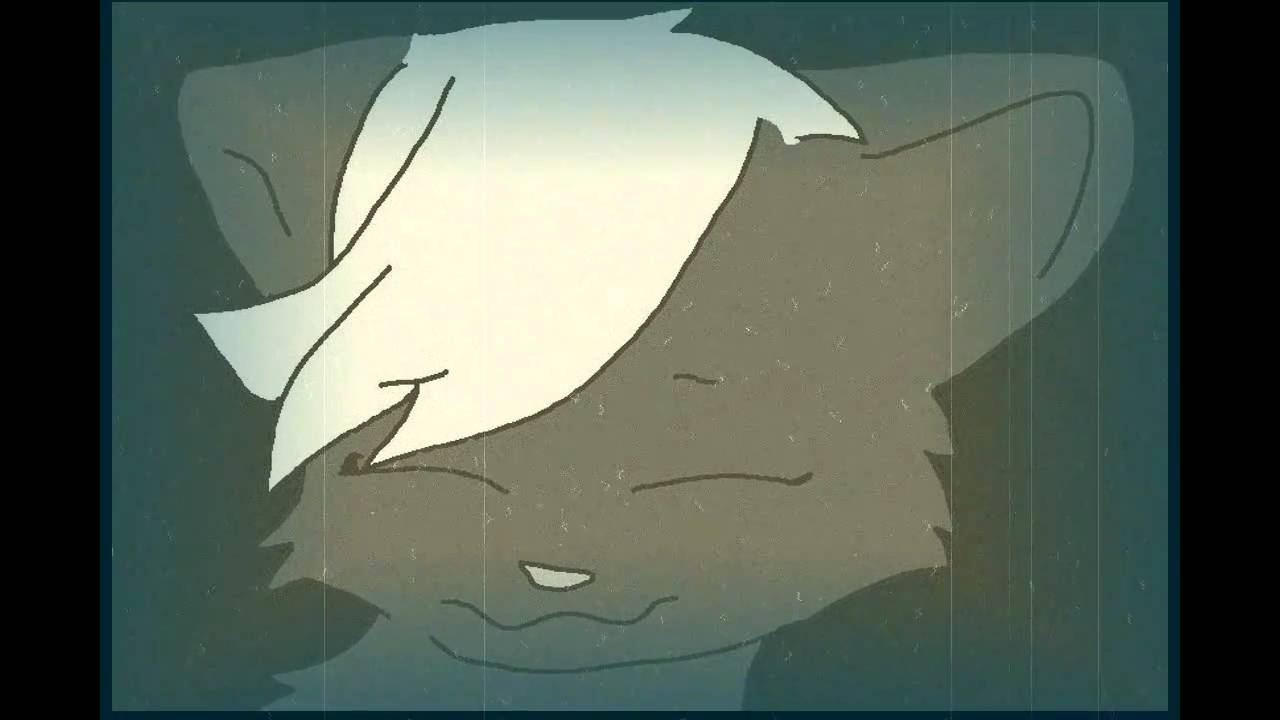 Ashfur AMV- Enchanted