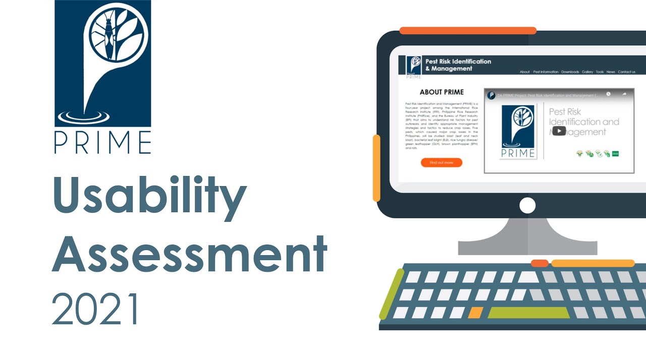 PRIME Usability Assessment: Guidelines