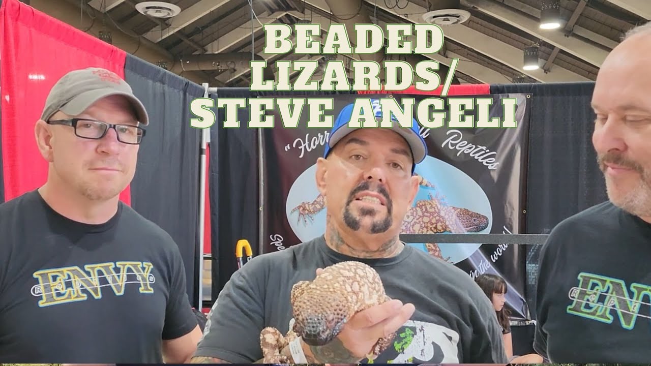 Pomona '23, we interview Steve Angeli about venomous beaded lizards.