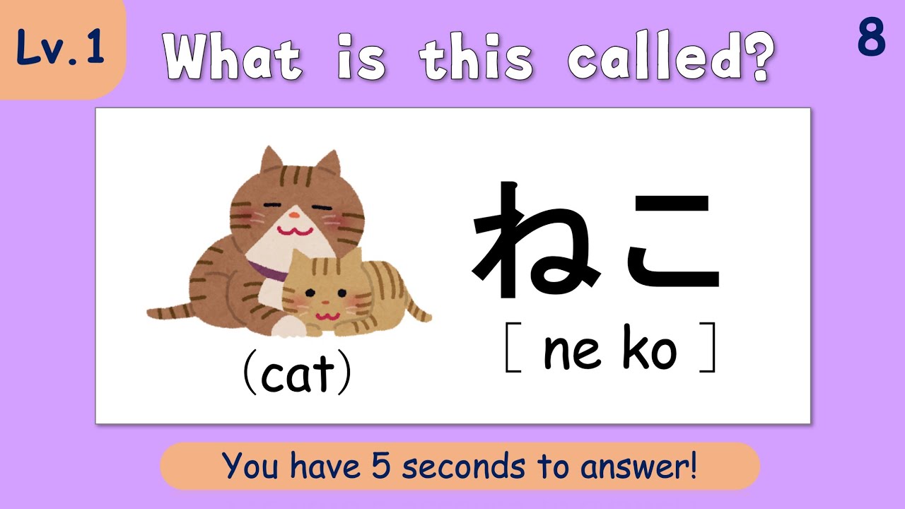 Japanese Vocabulary Quiz for Beginners