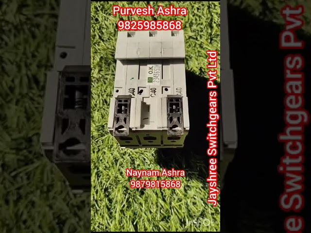 Electrical Mcb - BCH MCB DP 6A TO 32A BCHX10DPC32 Trader - Wholesaler ...