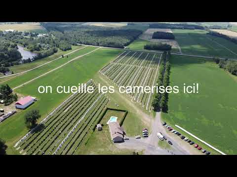 Camerises Saint Philippe