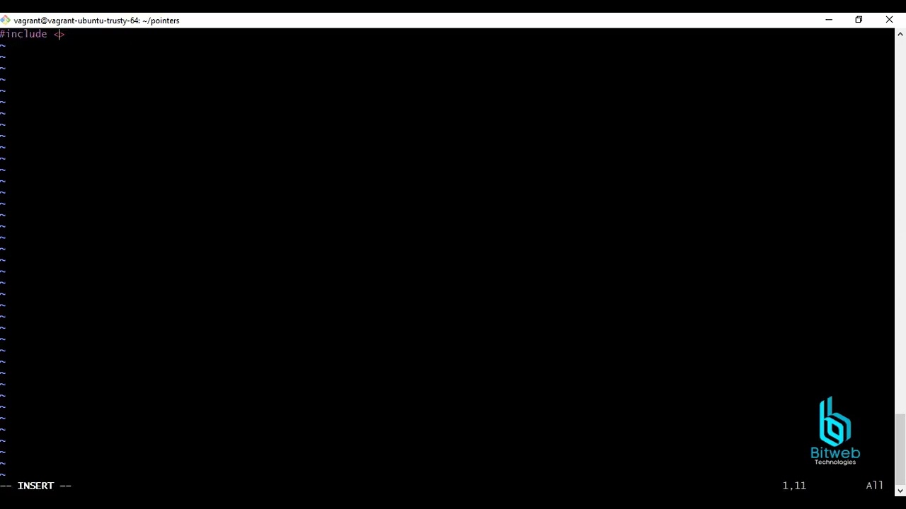 0x05 Pointers, arrays & strings (complete solution)