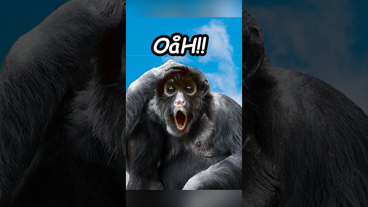 Monkey Drinks Potion Then Gets Reincarnated! #funny #memes