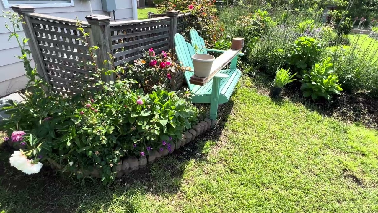 SPRING 2025: Welcome to Acorn Hill !