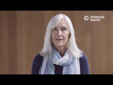 With Courage, We Can Tackle Climate Change — Julie Packard