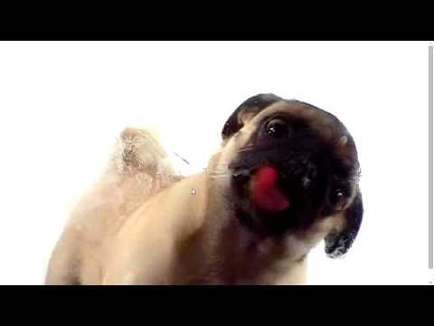 7 Weird Websites #1