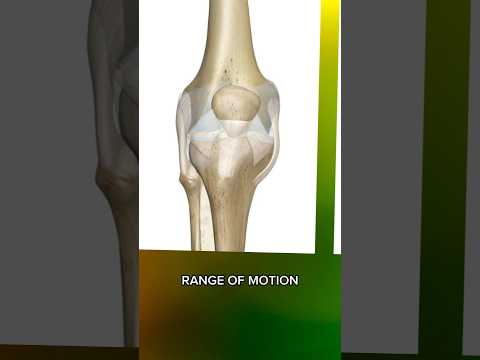Knee joint Range of motion. #physiologist #physiology #humanbodypart #dpt