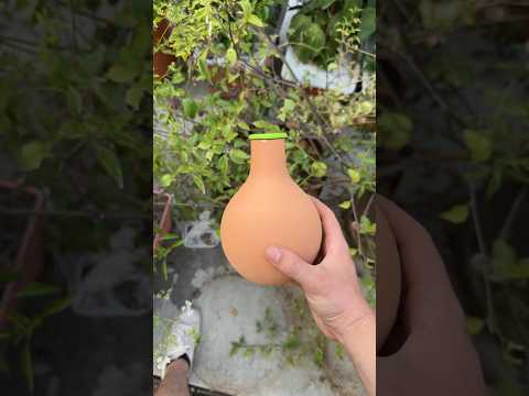There’s A Watering System For Everyone #urbangardening #containergardening #raisedbedgardening