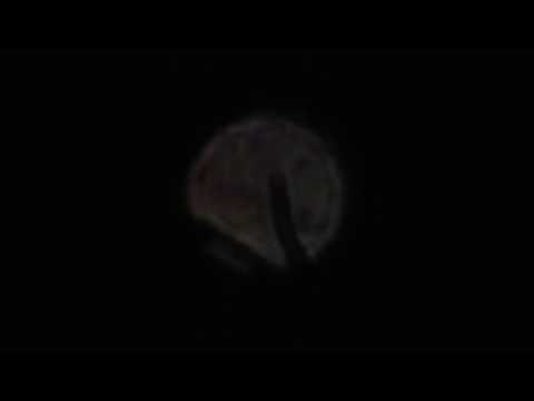 Why So Sirius? - The Beauty of The Dog Star and It's Spectrum