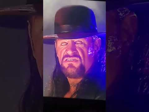 understand for undertaker