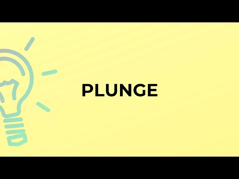 What is the meaning of the word PLUNGE?