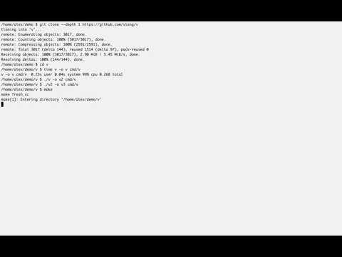 V Programming Language Reviews - 2024