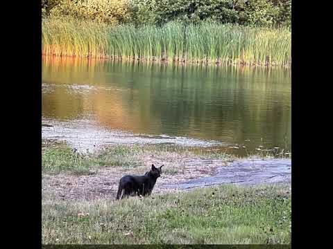 FREE CAMPING Indianhead ski resort near Wakefield, Michigan