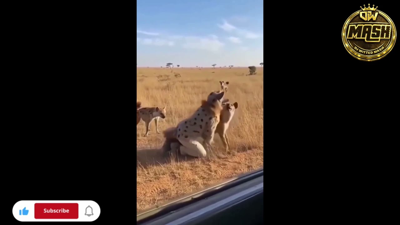 TOP VIRAL MEME SOUNDS 2026 😂 | NO COPYRIGHT | FREE PACK✅.