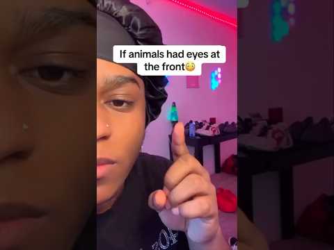 👁Why do animals have eyes on the side of their head?