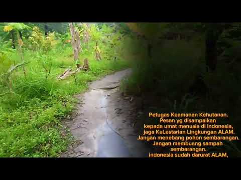 Apakah ini dinamakan indonesia emas Tahun 2045?.