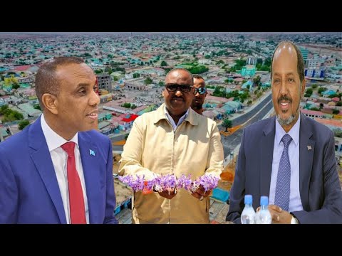 Mweyne Siciid Deni oo xarig jaray mashruucii ugu weynaa ee Somalia, weerarna ku qaaday DFS #deni