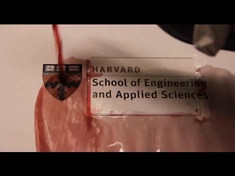 Super-slippery transparent materials | Harvard School of Engineering and Applied Sciences