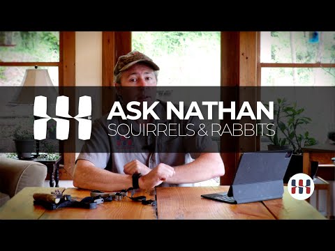 What are the best slingshot bandsets for squirrel hunting and rabbit hunting (asked by a 10 Y/O)?