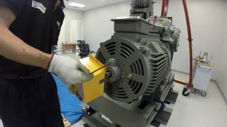 Torin Drive North America