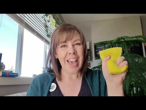 Wetland Metaphors