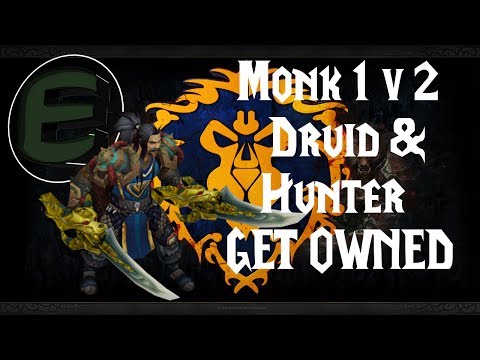 Windwalker Monk 1v2 Druid & Hunter- HD - Patch 5.4