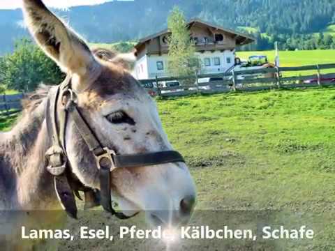 Ferienwohnung Hopfgarten Tennladen Apartments Niederau direkt am Skilift Wildschoenau