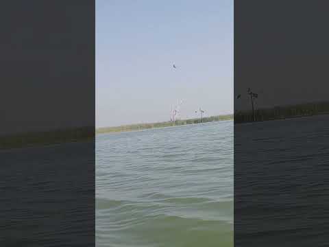 Nalsarovar Lakeside #travelvlog #traveller #lakeview