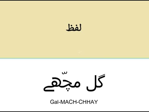 urdu word meaning گل مچّھے Gal mach chhay