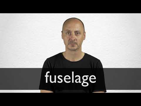 'FUSELAGE' 的 简体中文 Translation | 柯林斯 英语 - 汉语词典